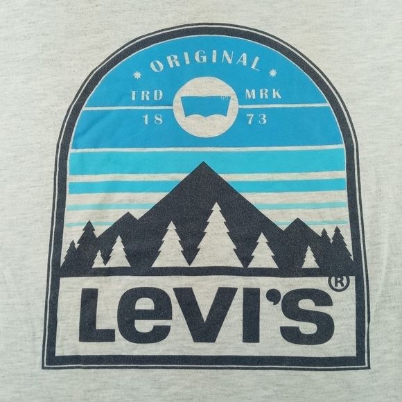 Levi's | Shirts | Levis Light Gray Blue Sky Mountain Tshirt Mens Size ...